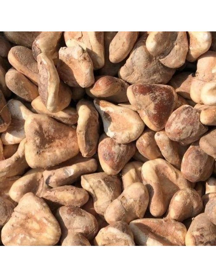 Singhara dry water chestnut organic 500 gm