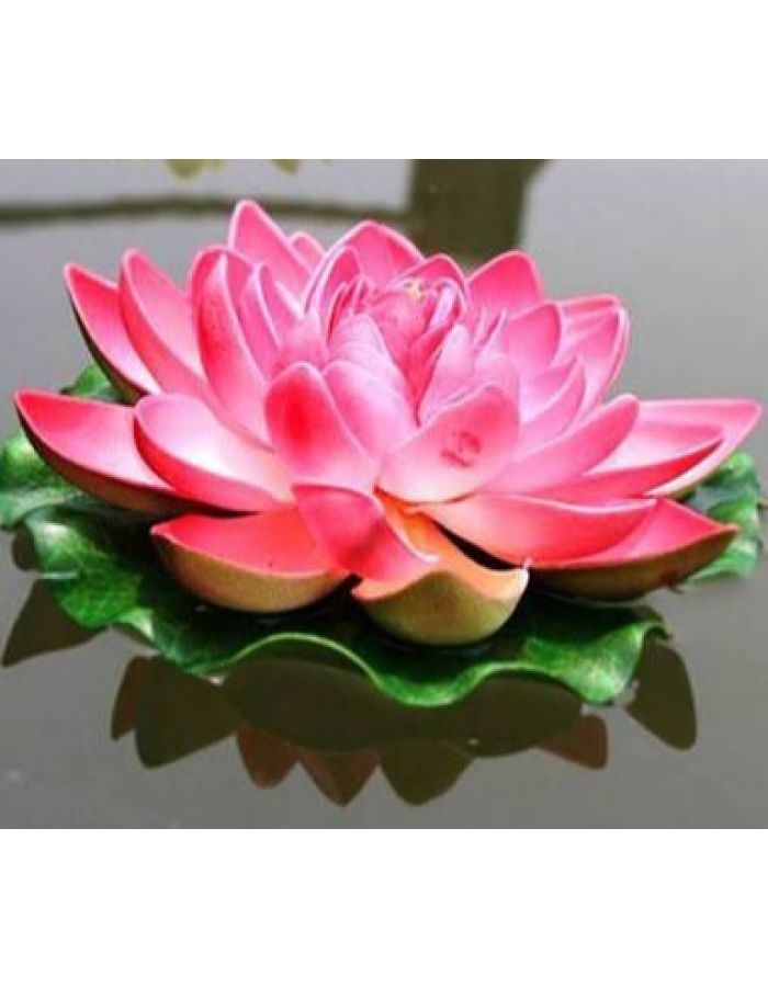 Floating lotus artificial lotus piece of 2