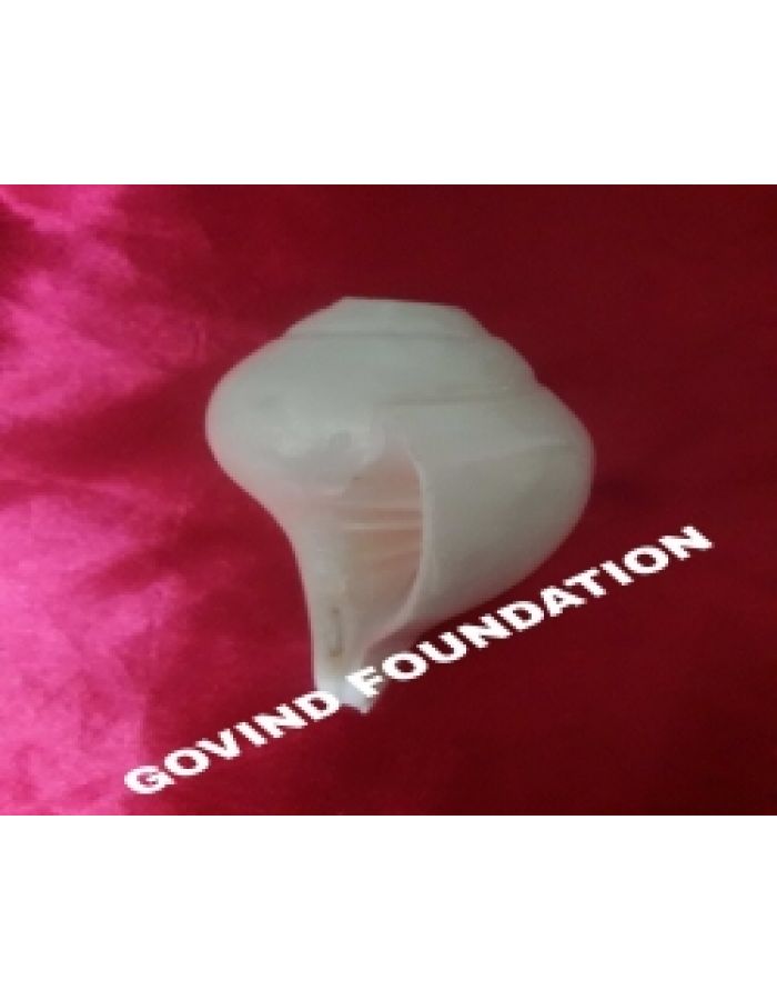 Vamvarti shankh blowable conch vamavarti shankh 5 inches