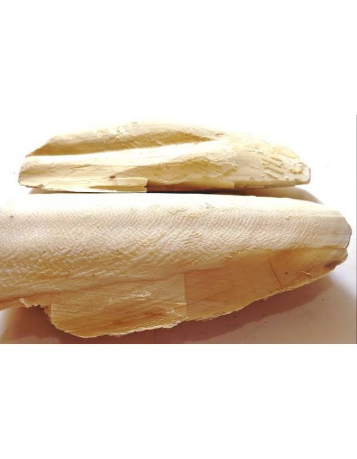 Samudri jhag samudari phen 200gm