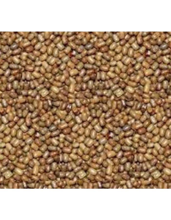 Moth sabut Rajasthan special sabut moth dal 500gm