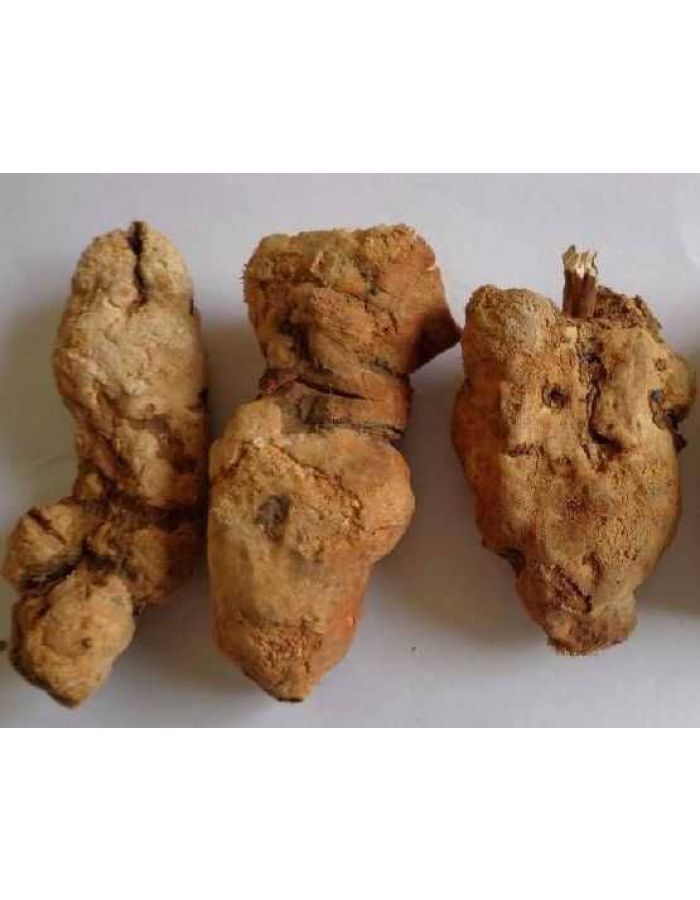 Chopchini whole chobchini sabut 100gm