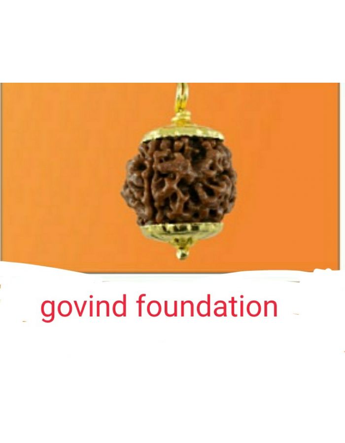 One face rudraksh round shape with gold cap nepali ek mukhi rudraksha ...