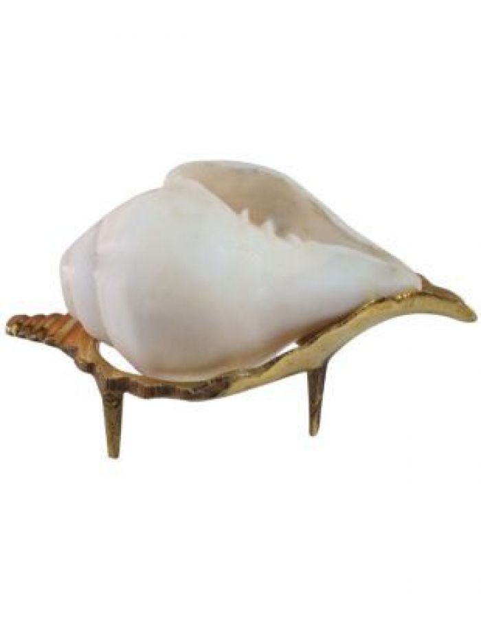 Vamvarti shankh with stand vamavarti shankh blowable conch 10cm Rameshwar