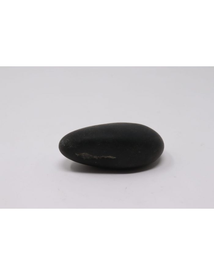 Shaligram saligram original 2.5 inches