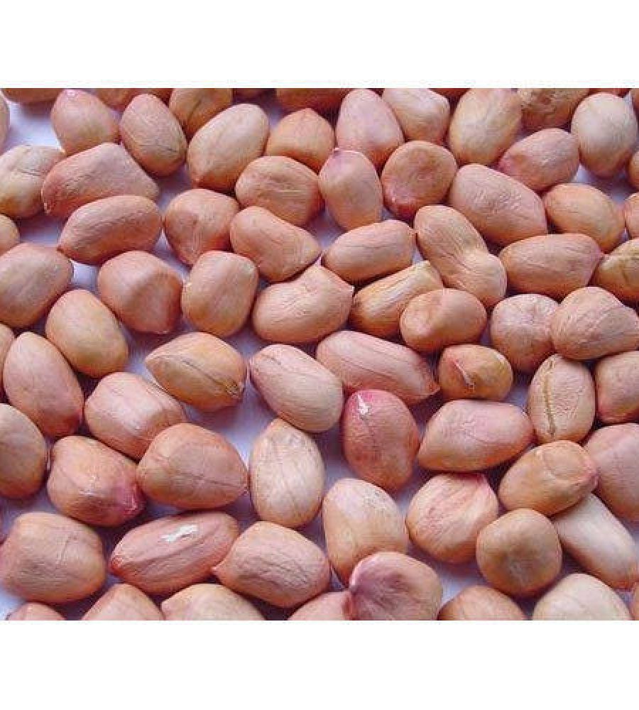 Moongfali peanut raw organic groundnut 500 gm