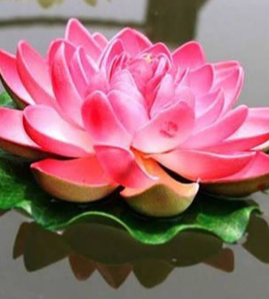 Floating lotus artificial lotus piece of 2