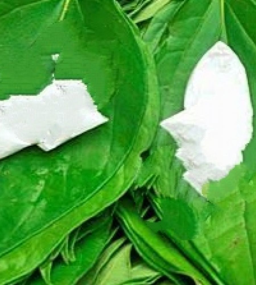 Chuna powder paste lime stone powder 250gm