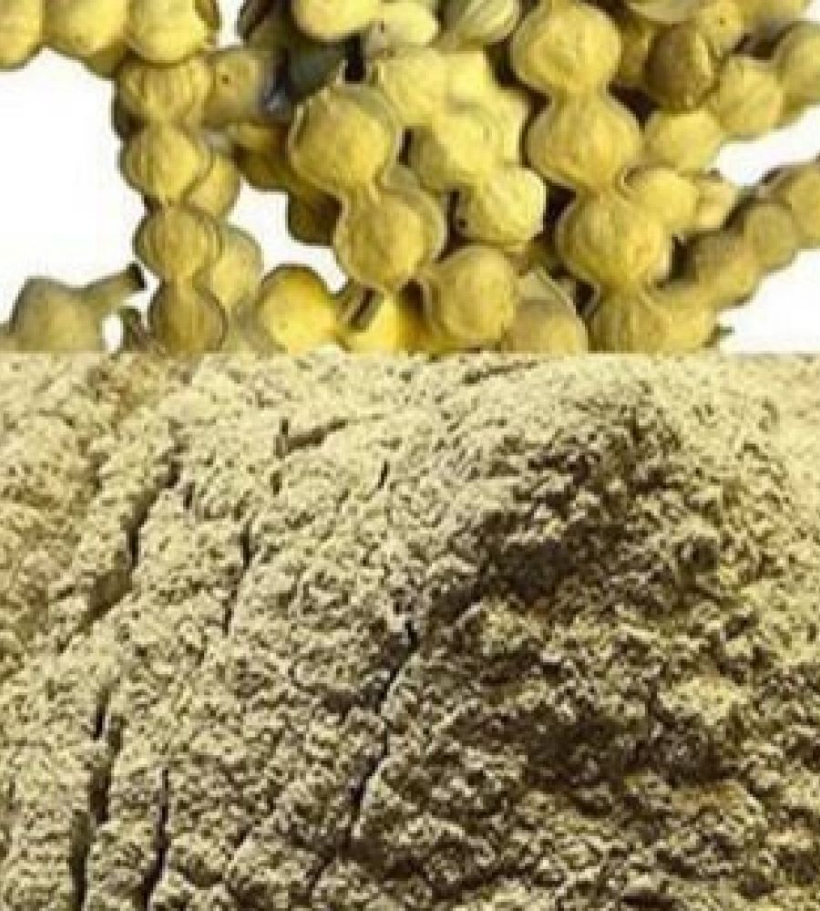 Babul fali powder kikar powder 250 gm