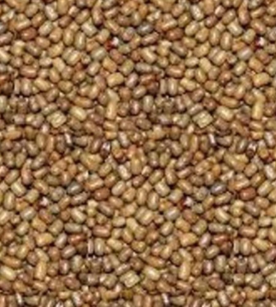Moth sabut Rajasthan special sabut moth dal 500gm
