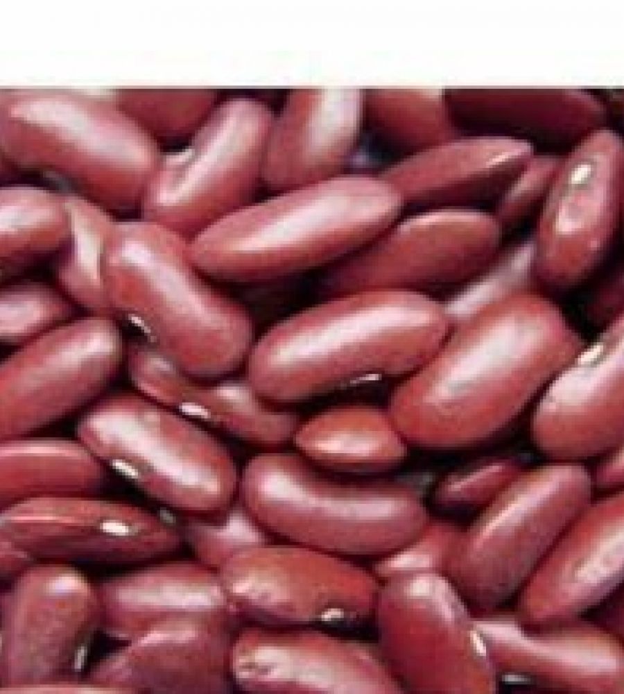 Red Rajma red kidney beans 1kg