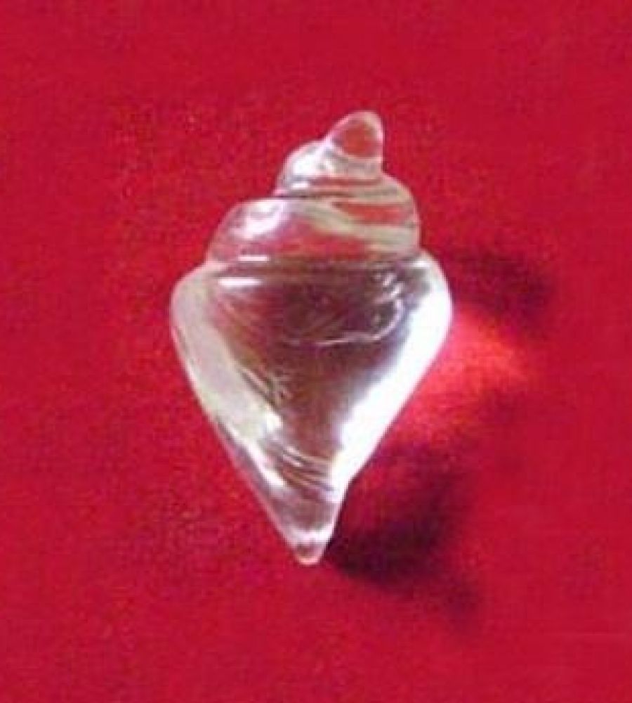 Sphatik shankh crystal conch 2inches