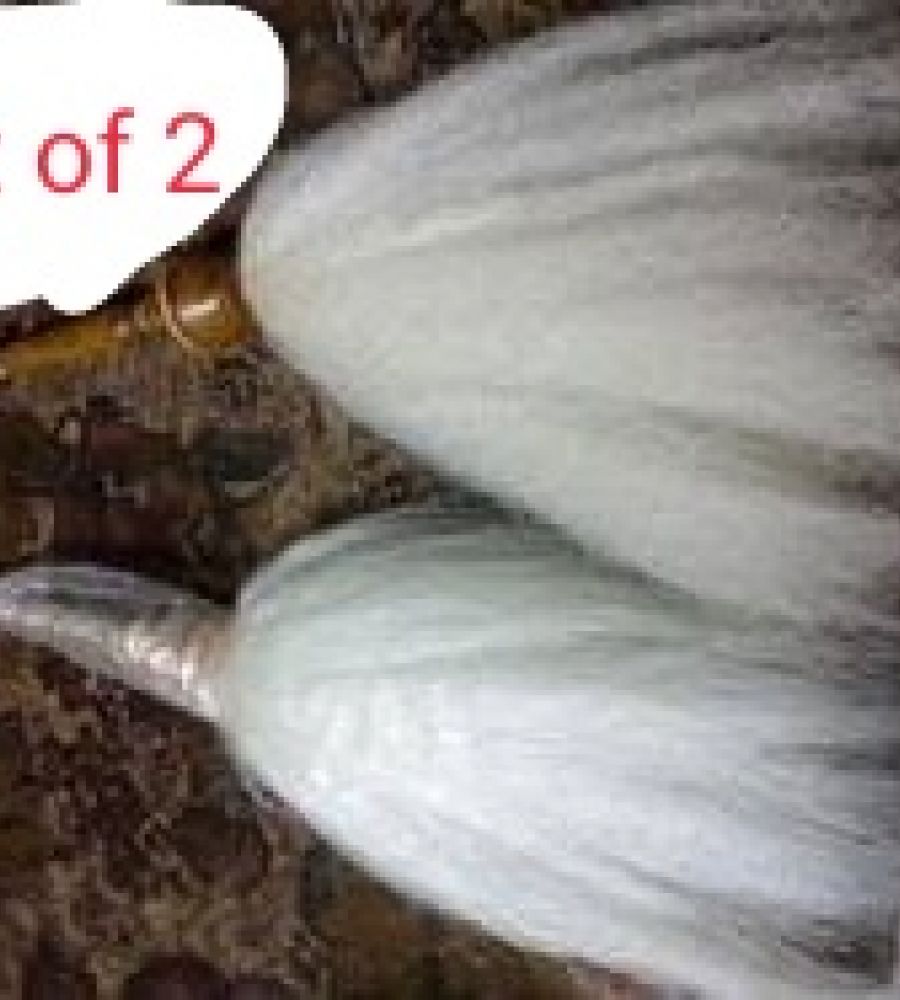 Chamar Chanwar chanvar chavar set of 2