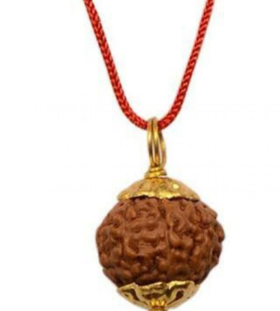 5 face rudraksh with gold caping 5 mukhi rudraksha gold cap rudraksha ...