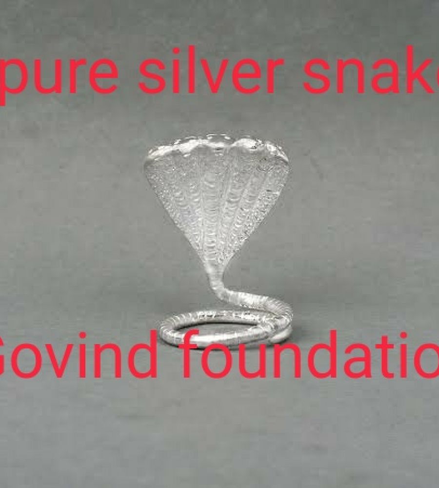 Pure silver snake silver sheshnaag chandi ka naag double ring