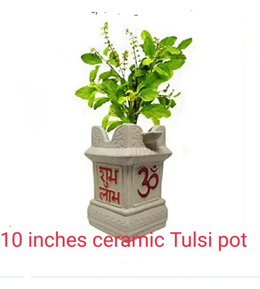 Tulsi pot ceramic Tulsi plant pot 10 inches