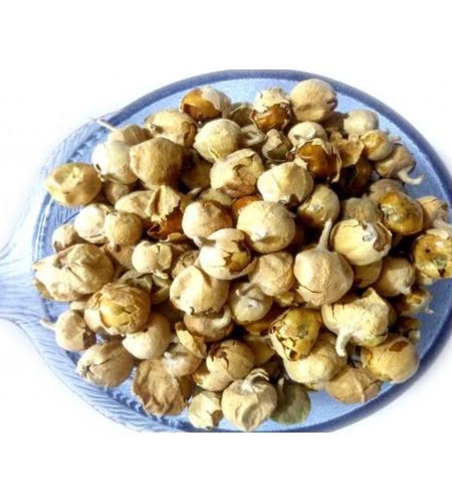 Paneer doda paneer Dodi , paneer ke phool 250gm