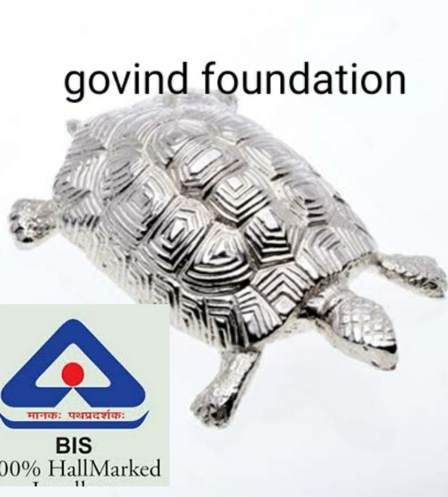 Silver tortoise pure silver turtle 100gm