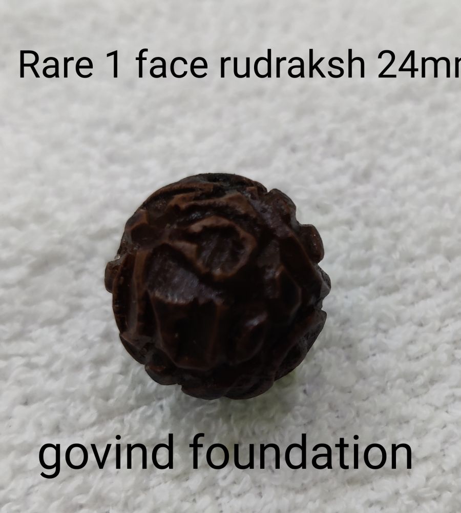 1 mukhi rudraksha Rare 1 face rudraksha one face rudraksh round 24mm