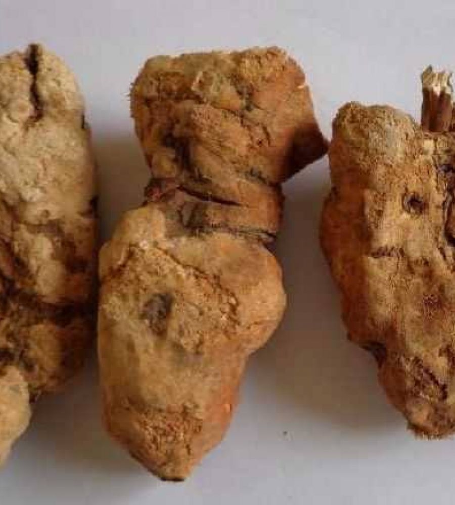 Chopchini whole chobchini sabut 100gm