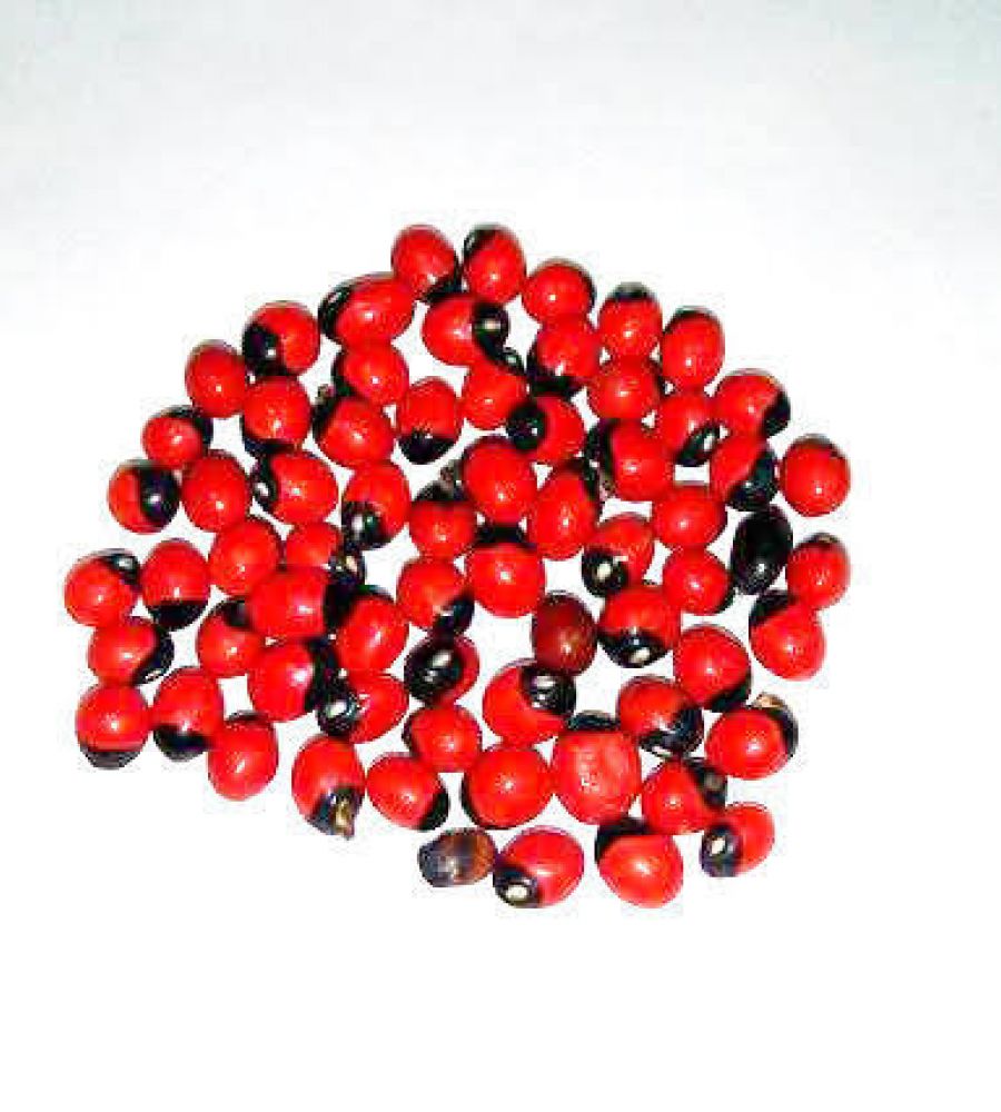 Product Code : Gunja