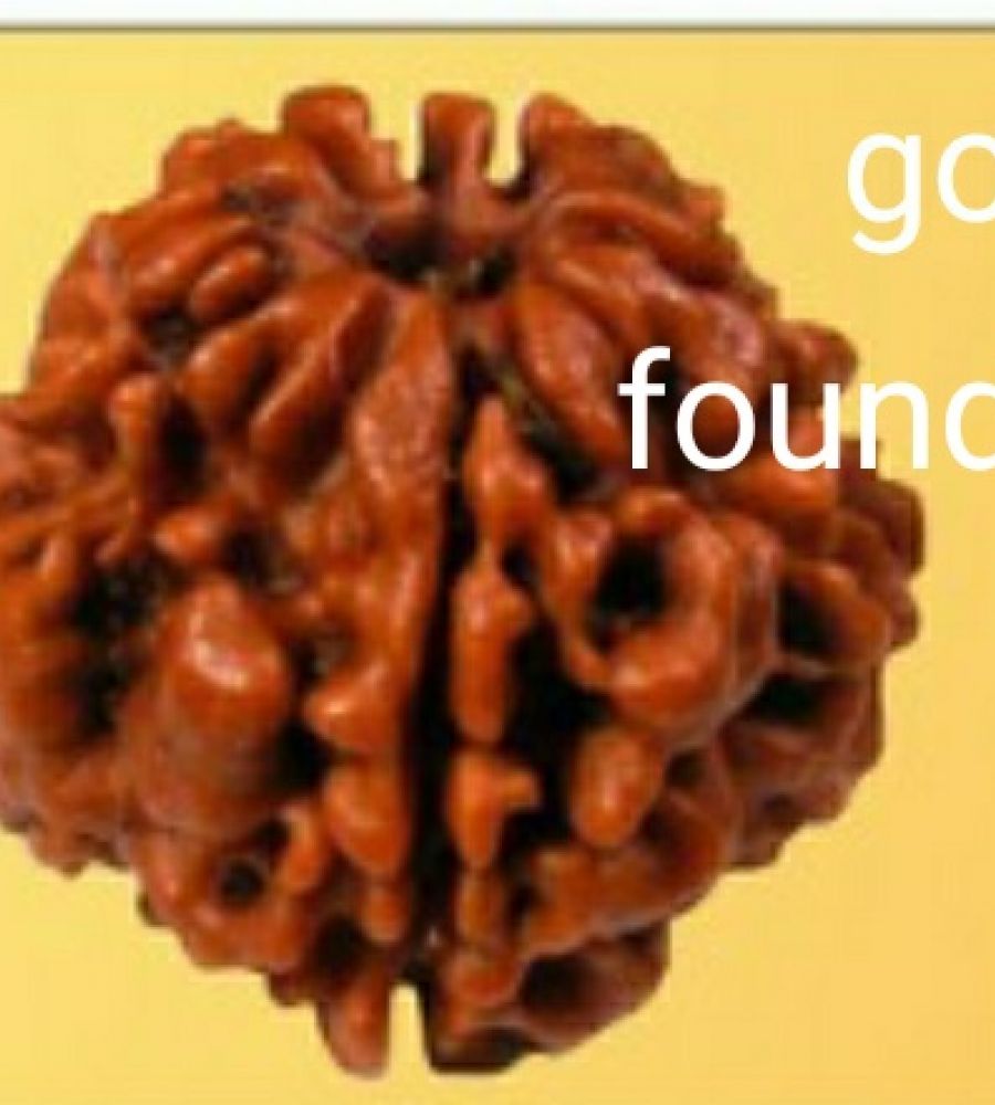 One face rudraksh round shape nepali ek mukhi rudraksha