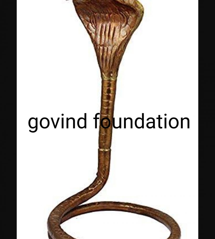 Copper Naag 16 inches Copper Snake for Shivling