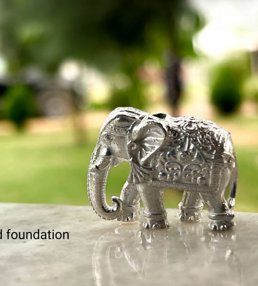 Pure Silver Elephant Trunk down Solid 150gm Right foot Forward Silver ...